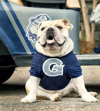 The Making of a Mascot: Georgetown’s JJ the Bulldog (Video) - Washingtonian
