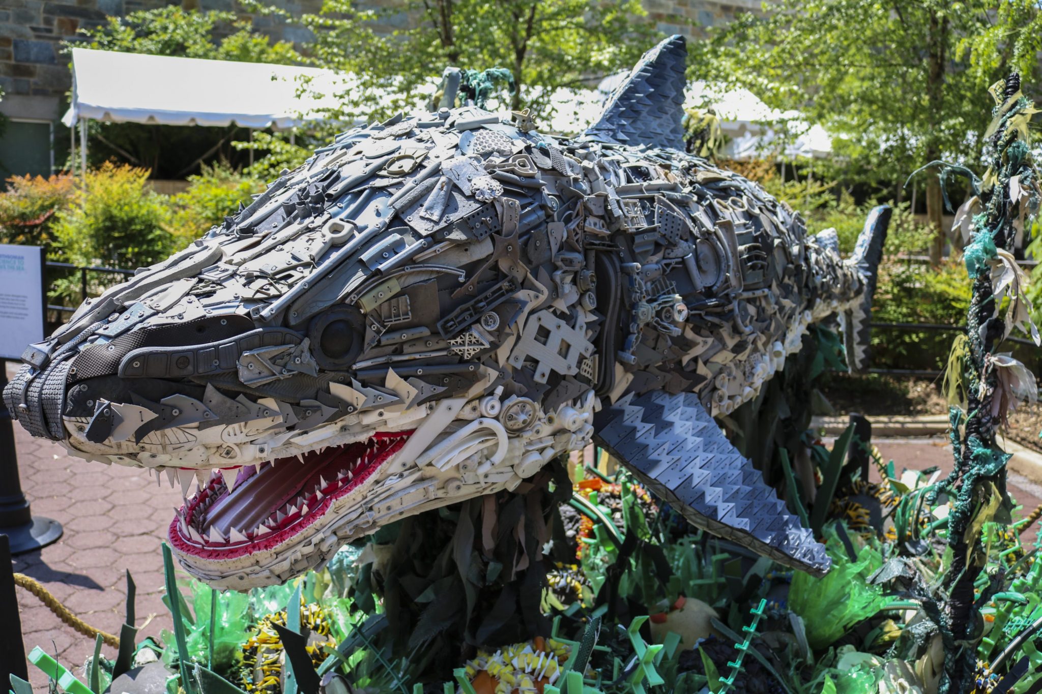 Meet the Ocean’s Deadliest Threat at the Smithsonian’s National Zoo ...
