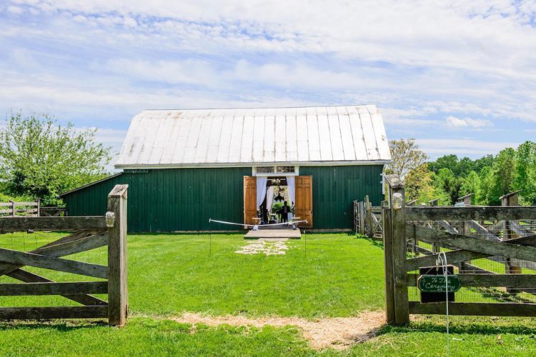 This Virginia Barn Wedding Will Be the Most Magical Thing You See All ...