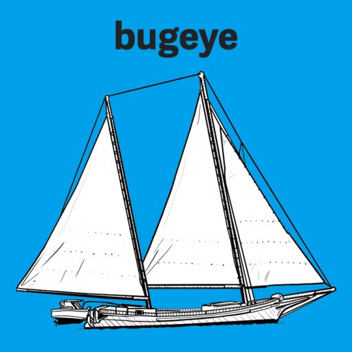 Pungies, Bugeyes, and Skipjacks: Your Guide to Chesapeake Bay Workboats ...