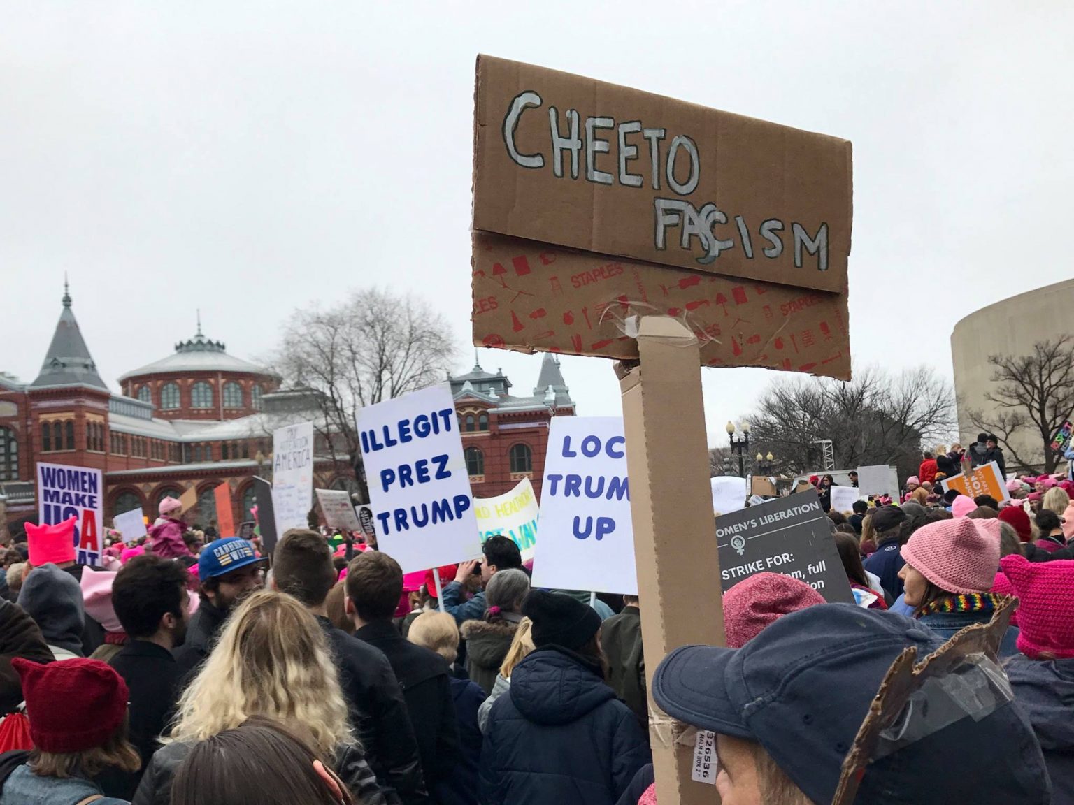 These Are The Best Signs We Saw At The Womens March On Washington