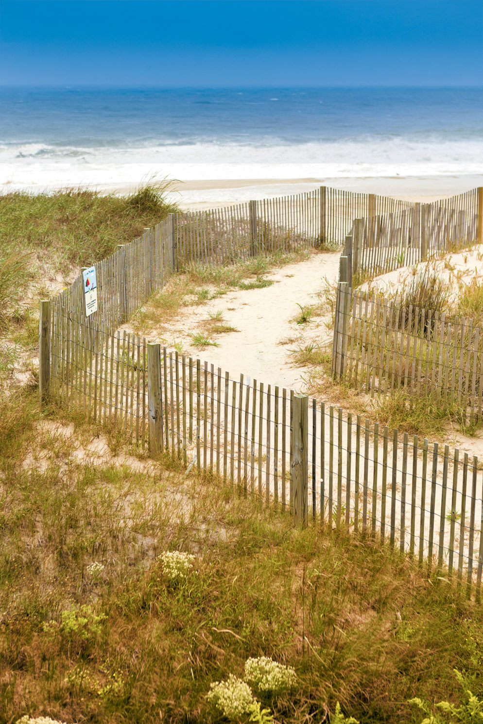 Guide to DC Beaches: Which Beach Should You Visit? - Washingtonian