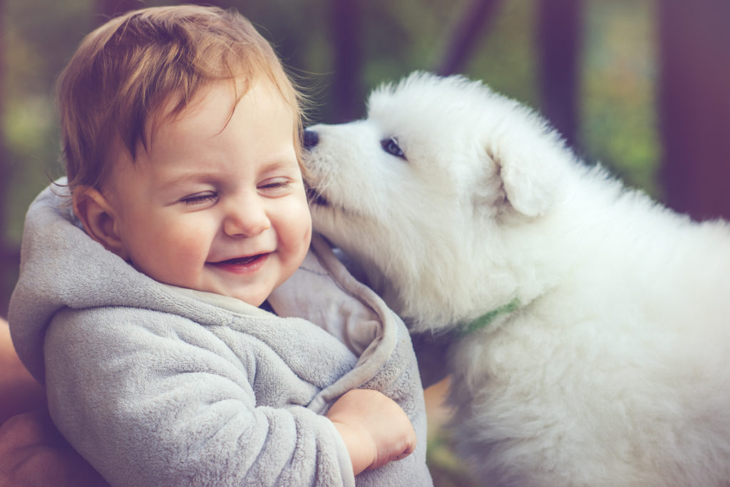 Enter Our 2019 Best Friends Contest - Washingtonian