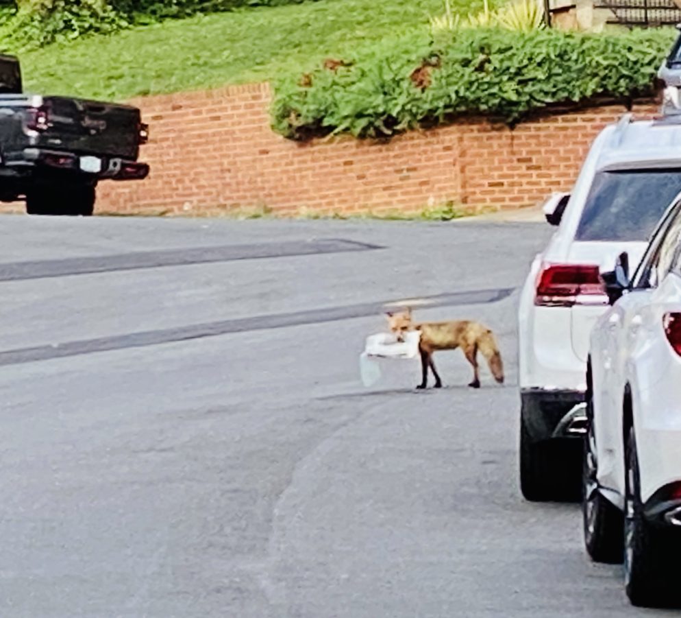 Fox Attacks the Washington Post—in the Best Way Possible - Washingtonian