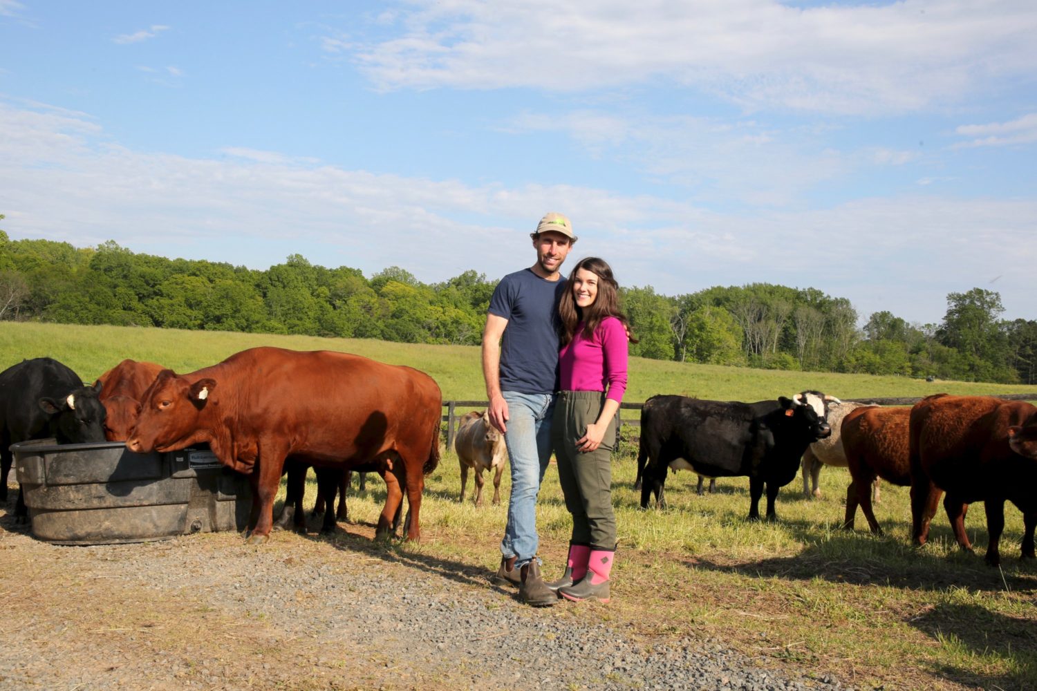 A young couple ditched city living to build a regenerative cattle farm ...