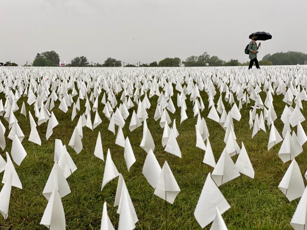 Photos: Hundreds of Thousands of Flags on the National Mall Commemorate ...