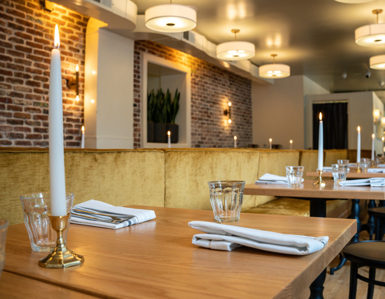 French Brasserie Duck Duck Goose Is Opening in Dupont Circle ...