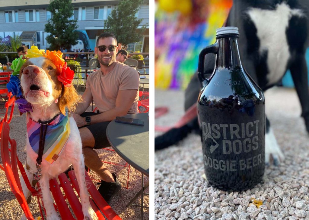 DC Dog Bars Are Booming. More Pet-Friendly Spots Are Coming