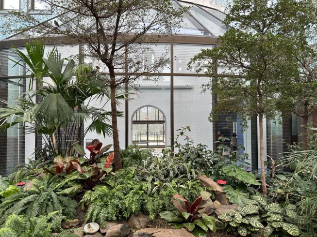 The National Zoo's Bird House Is Reopening After Six Years