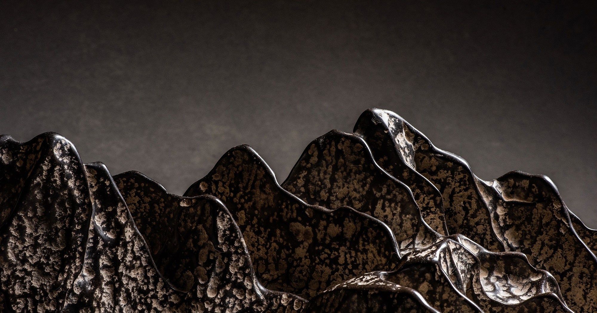 We Can’t Stop Looking at These Alluring Scholar's Rocks