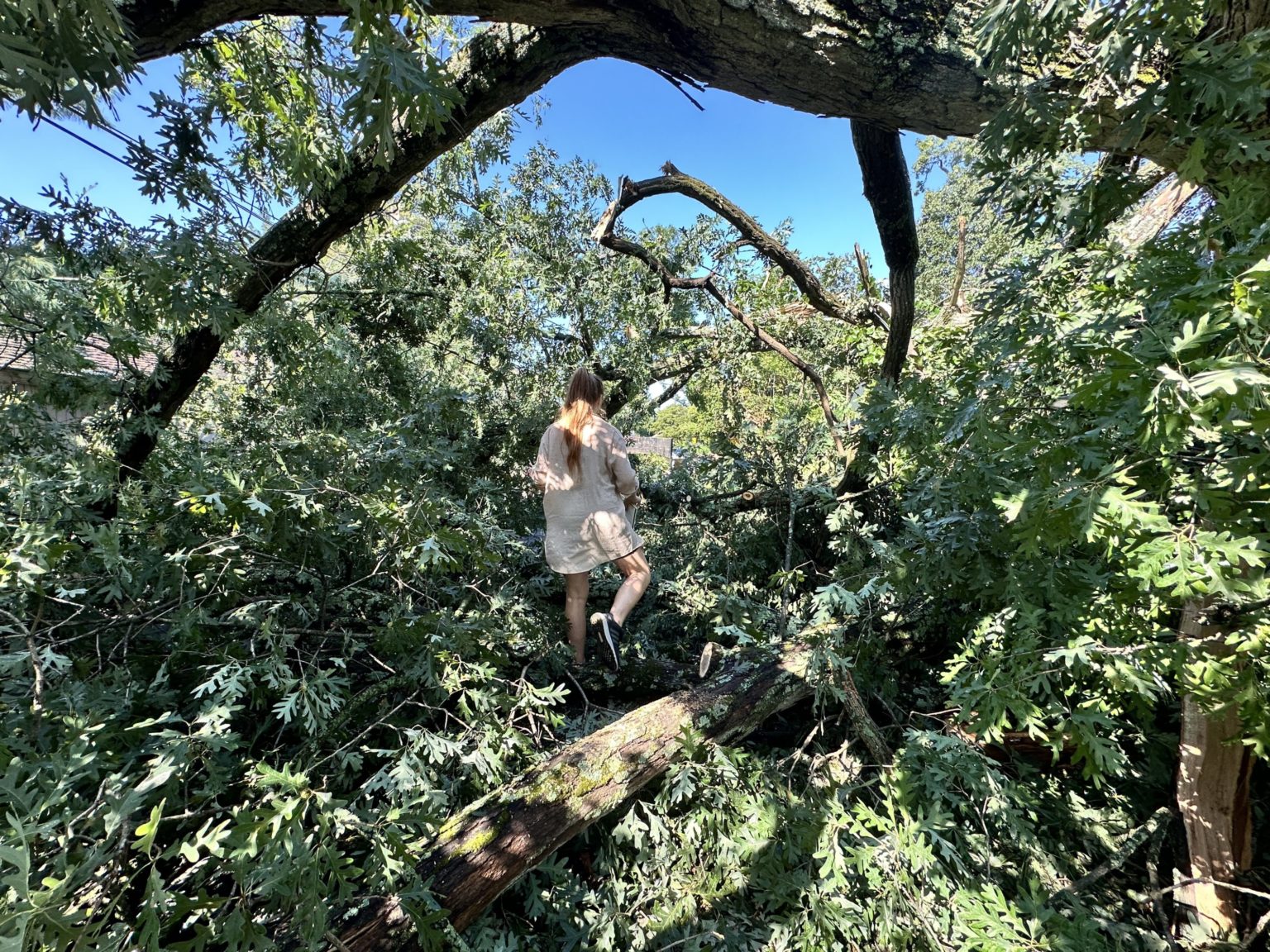 Watch: Footage From the Storms That Ripped Through DC Saturday ...