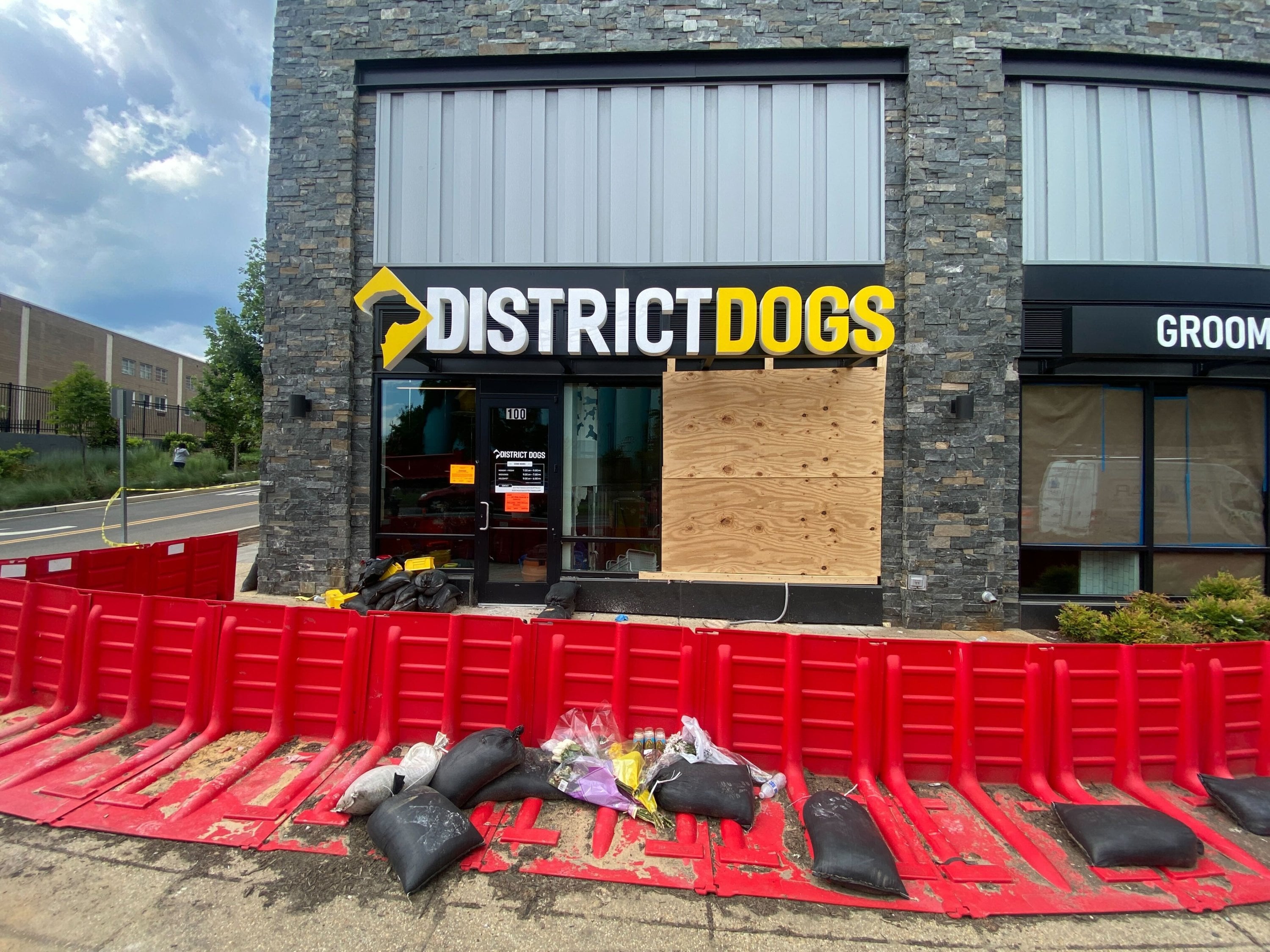 Mourning Pet Owners Contemplate Legal Action After District Dogs Flood ...