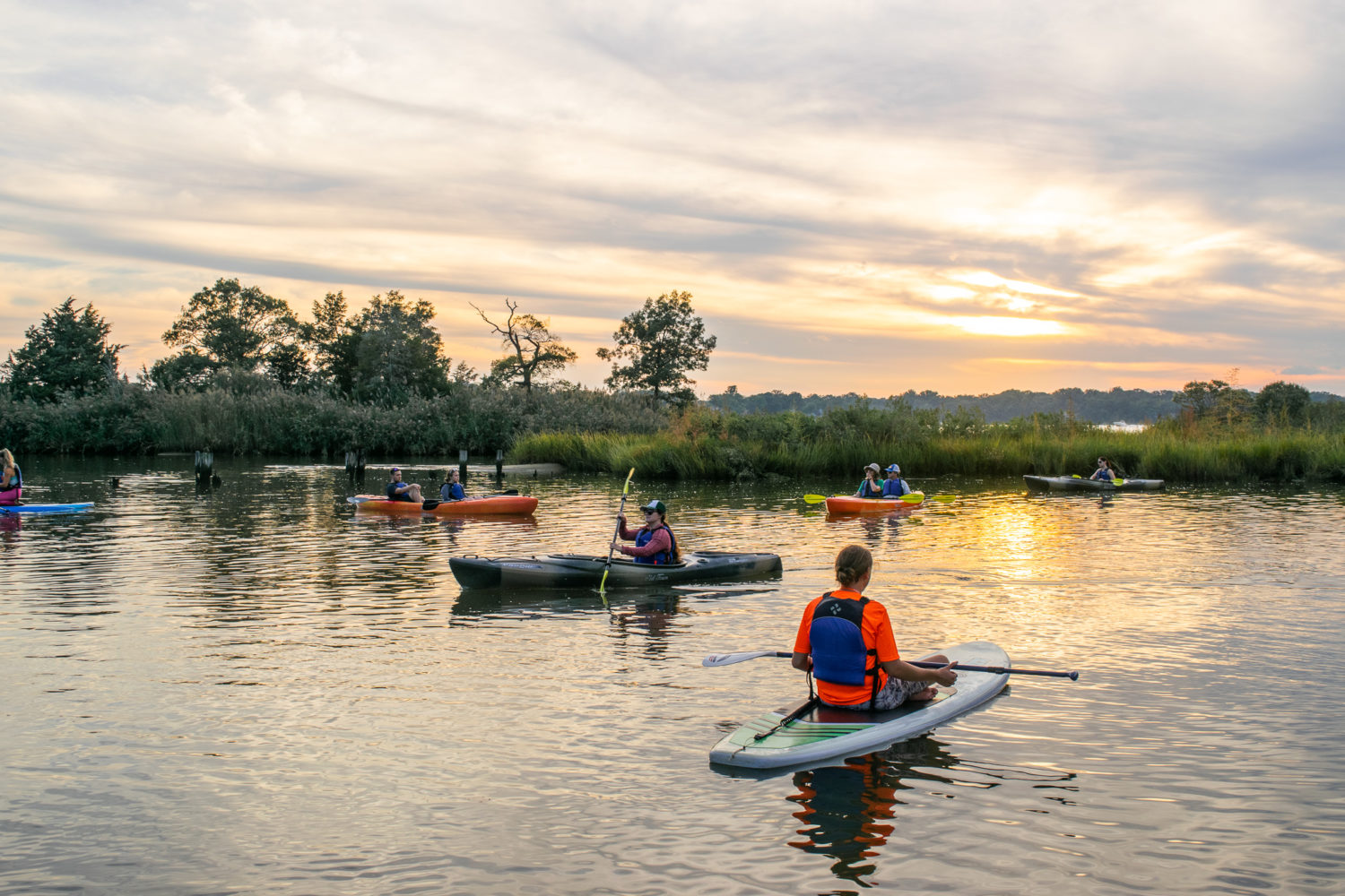 Late to Summer Camp Registration in the DC Area?