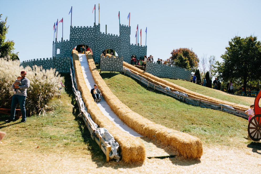 The Ultimate Guide to Festivals & Fairs in the DC Area
