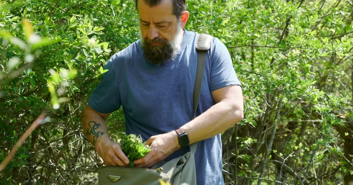 You Can Take a Class With This Forager and Part-Time Musician