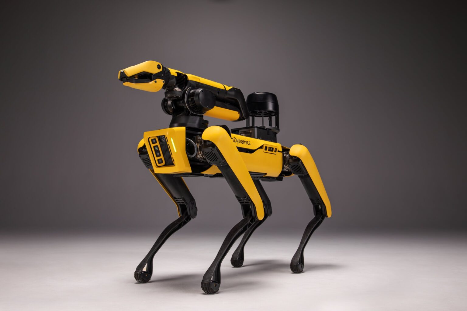 Are Robot Dogs the Future of White House Security? - Washingtonian
