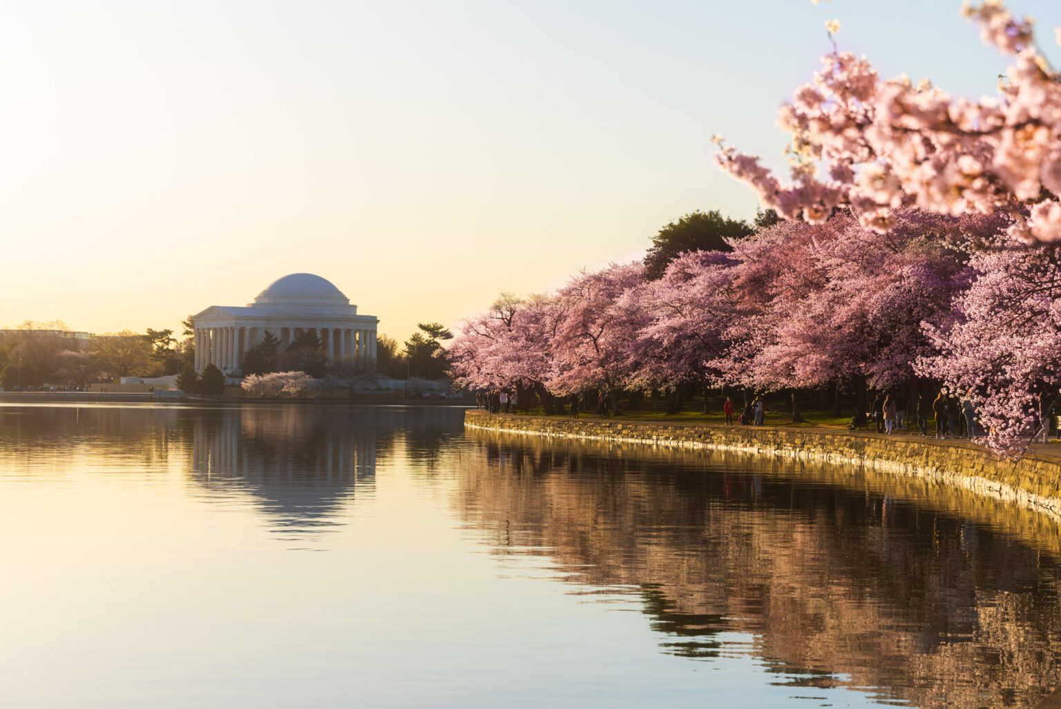 12 Fun Ways to See DC’s Cherry Blossoms in 2025 - Washingtonian
