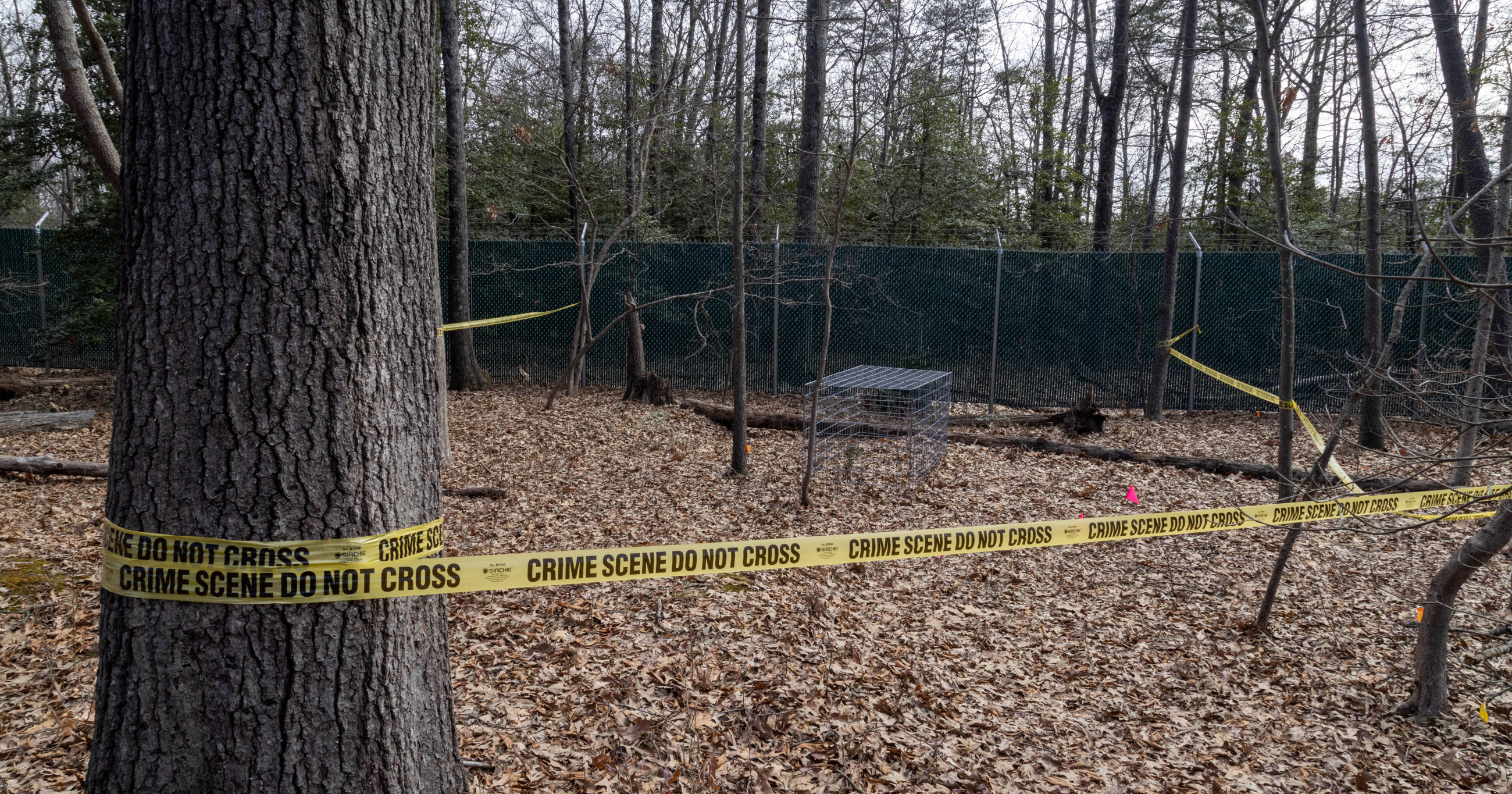 GMU Scientists Are Using "Body Farms" to Study Human Decay